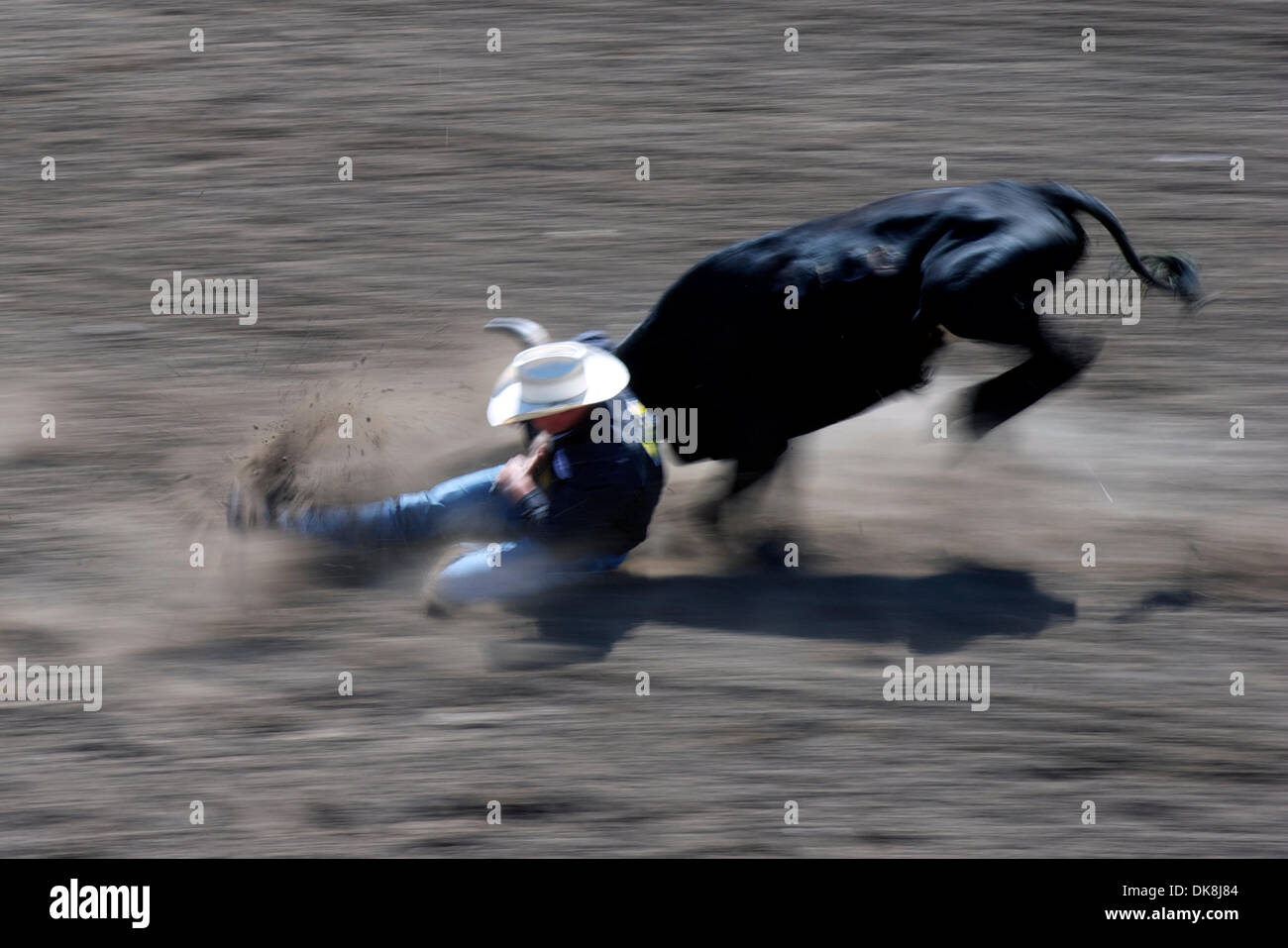 July 24, 2011 - Salinas, California, U.S - Steer wrestler Levi Rosser ...