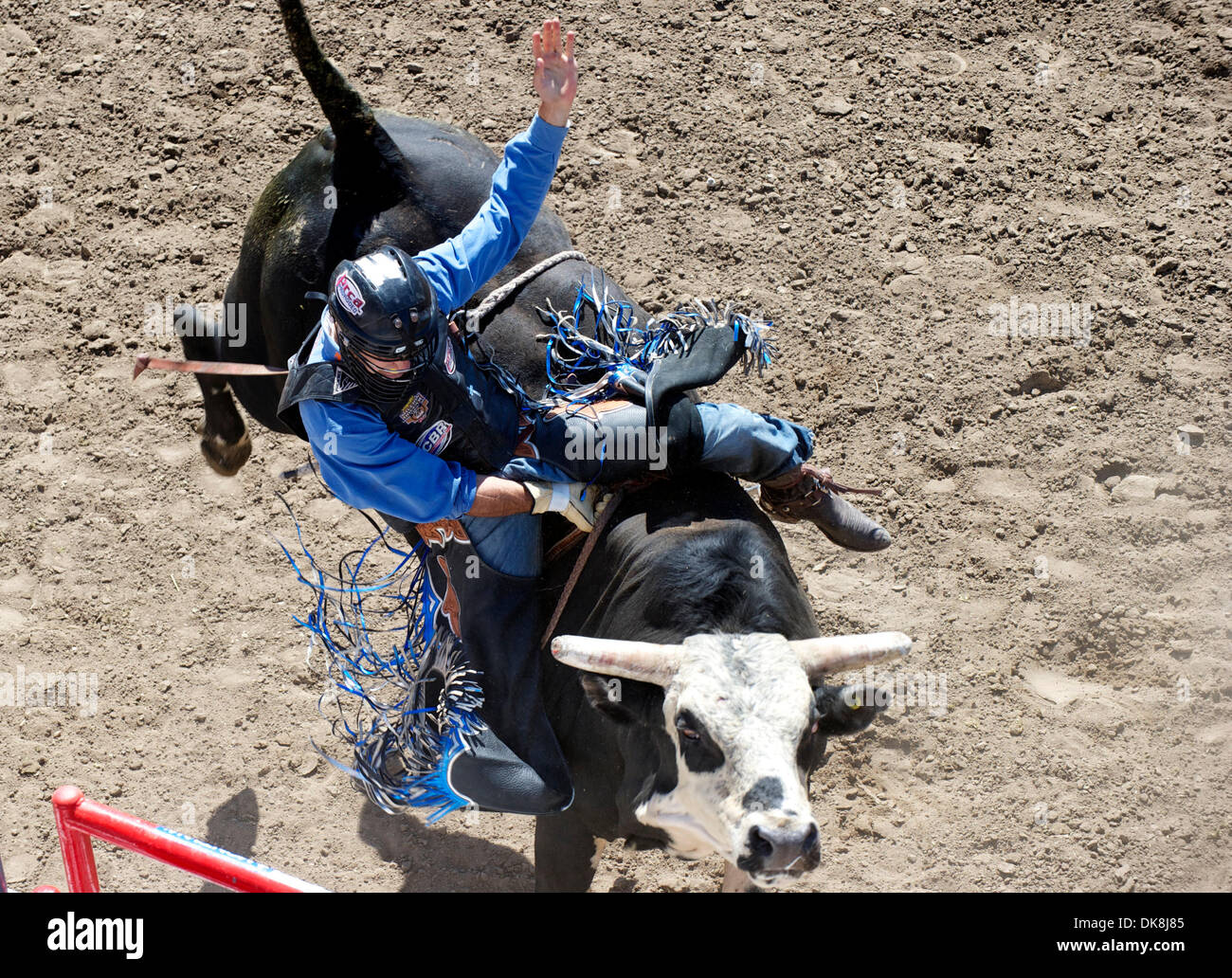 Matt dalton hi-res stock photography and images - Alamy