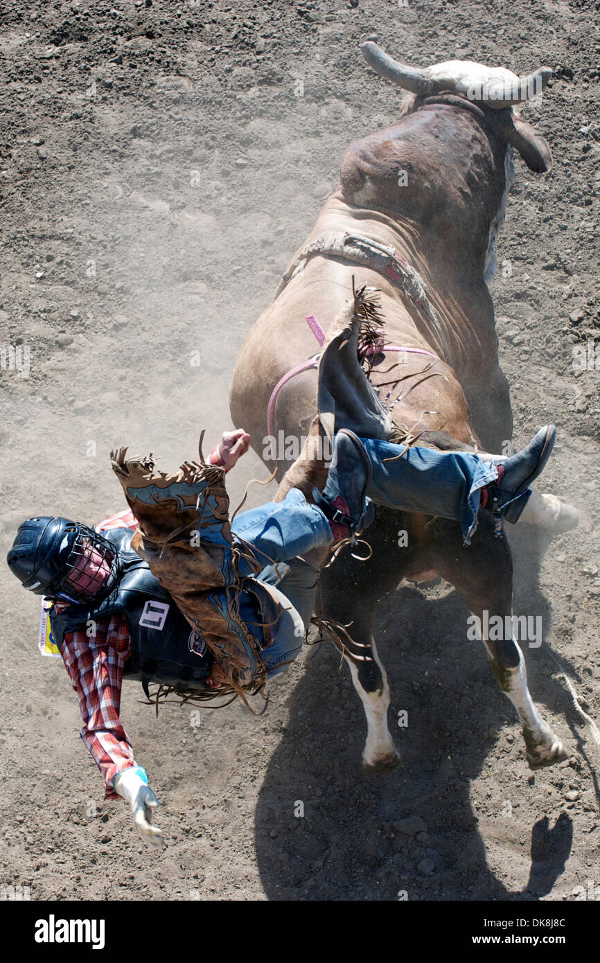 July 24, 2011 - Salinas, California, U.S - Bull rider Jacob Tyner of ...