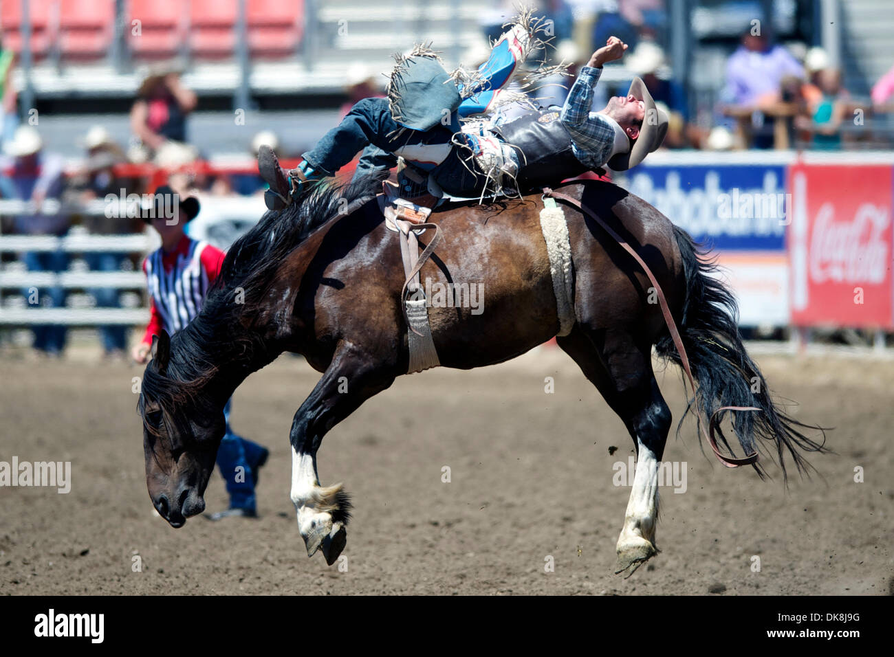 Worsfold hi-res stock photography and images - Alamy