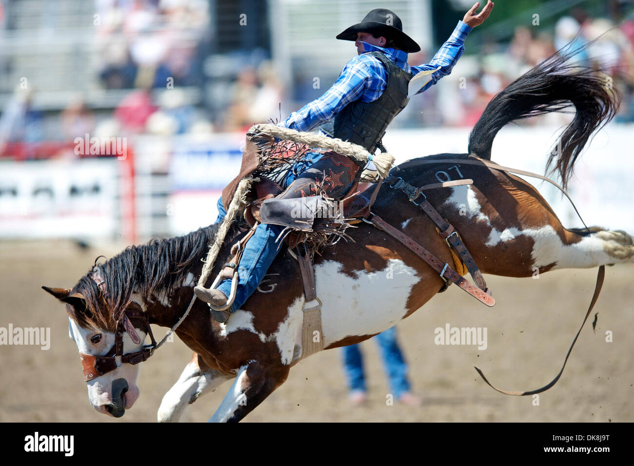 July 24, 2011 - Salinas, California, U.S - Saddle bronc rider Jake ...