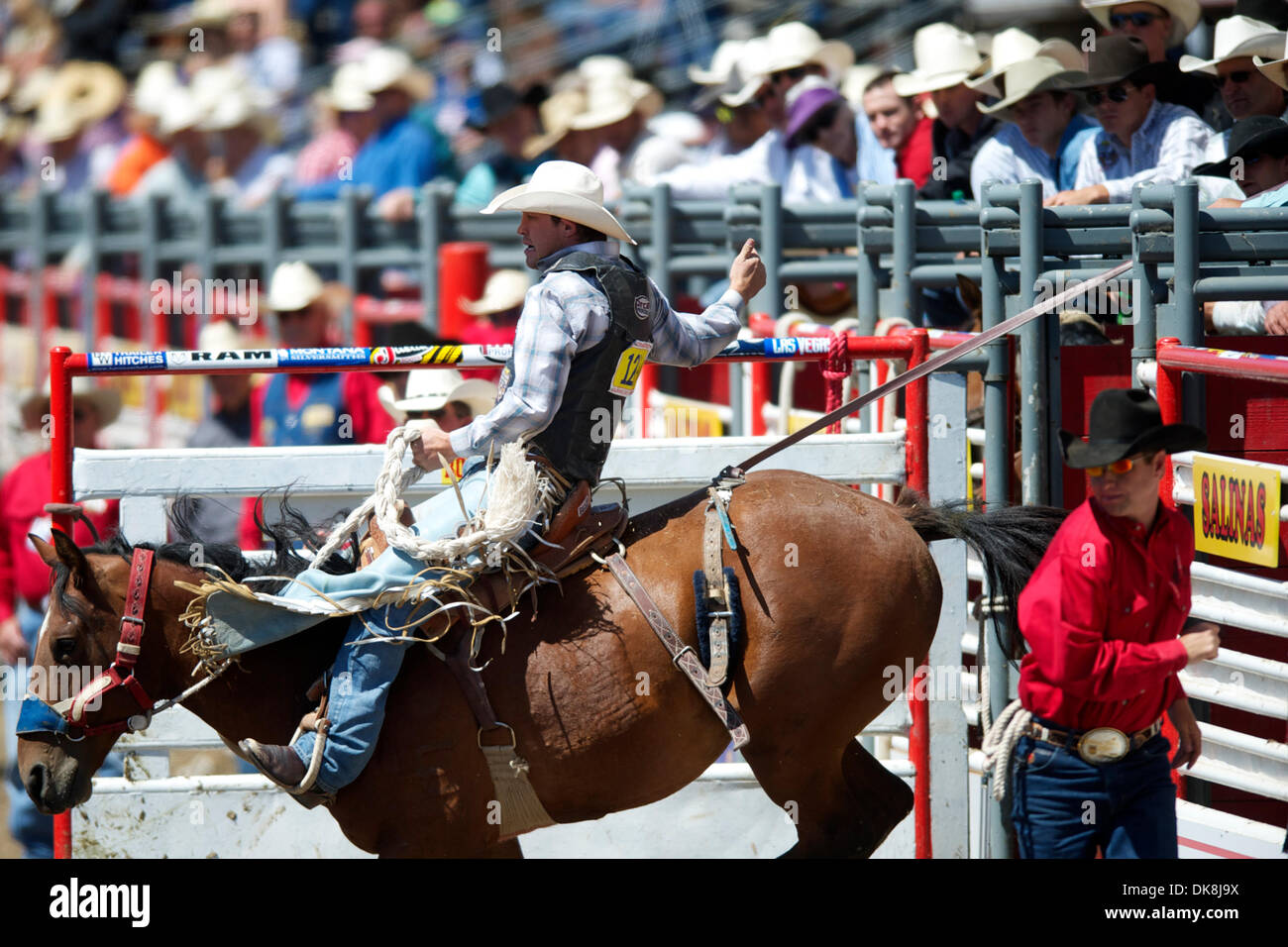 Crowser hi-res stock photography and images - Alamy