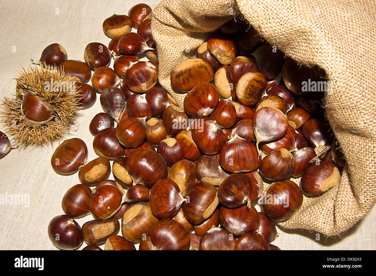 Chestnuts come out from a sack Stock Photo - Alamy