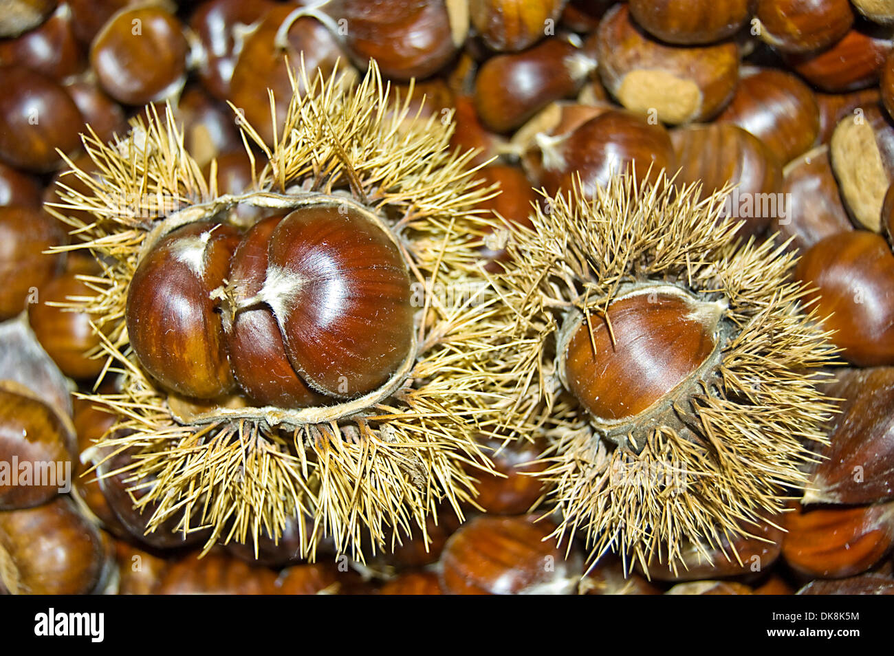 Shelled chestnuts hi-res stock photography and images - Alamy