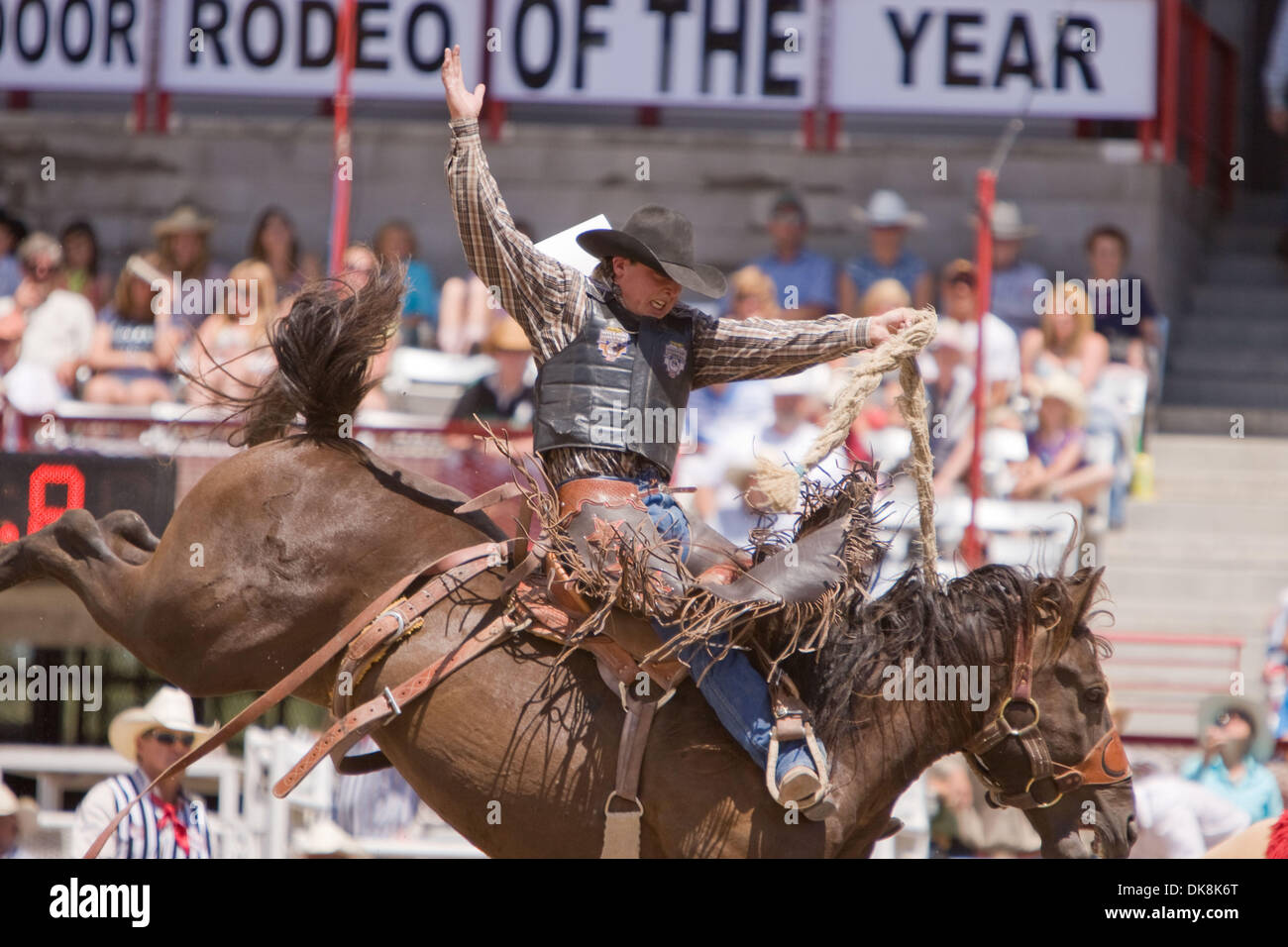 July 25, 2011 - Cheyenne, Wyoming, U.S. - Rodeo - JAKE WRIGHT performs ...