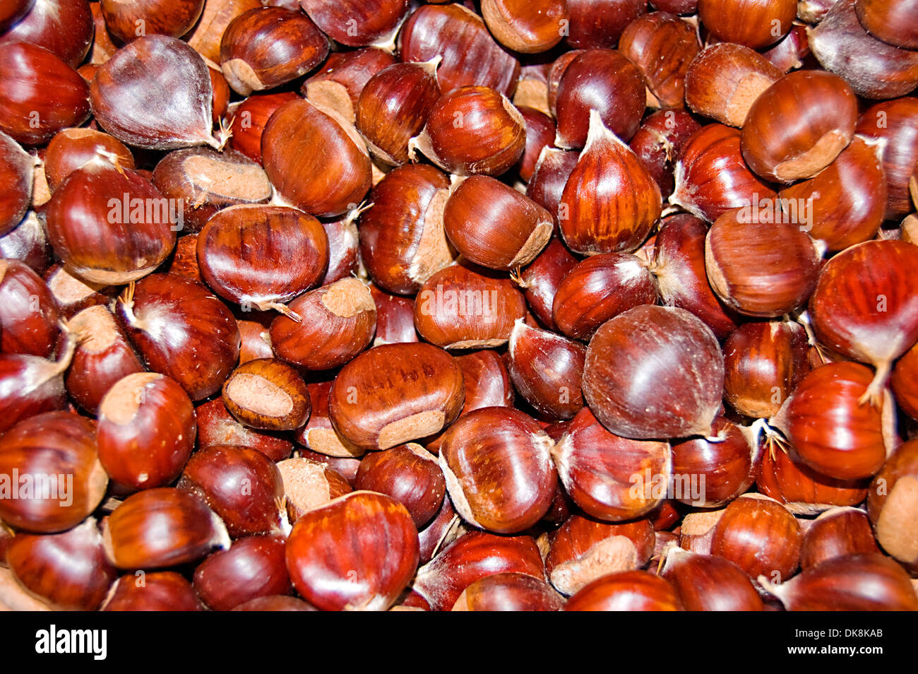 Group of chestnut without husk Stock Photo - Alamy