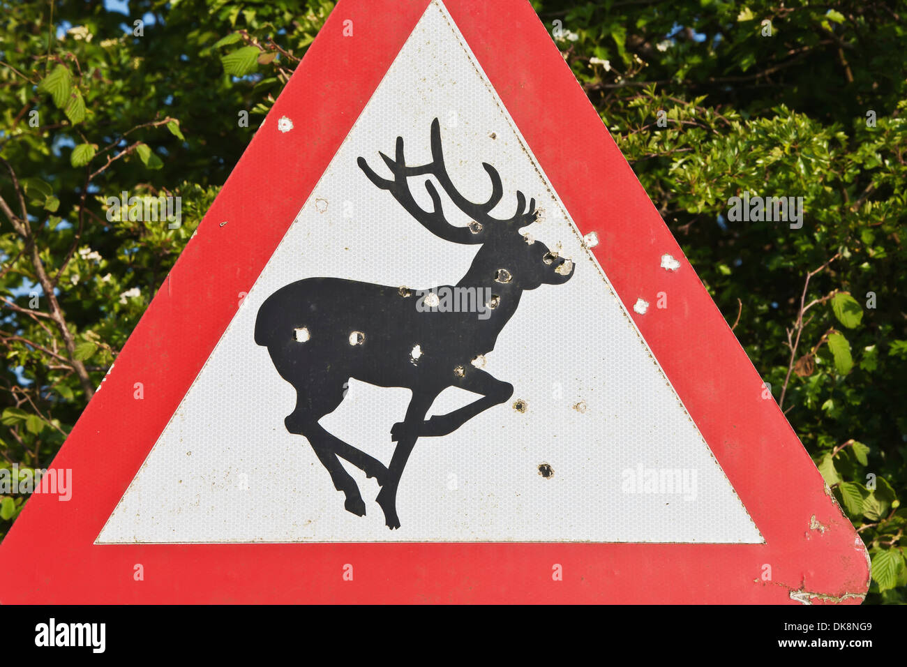 Warning of deer sign with holes that has been shot at; Wiltshire ...