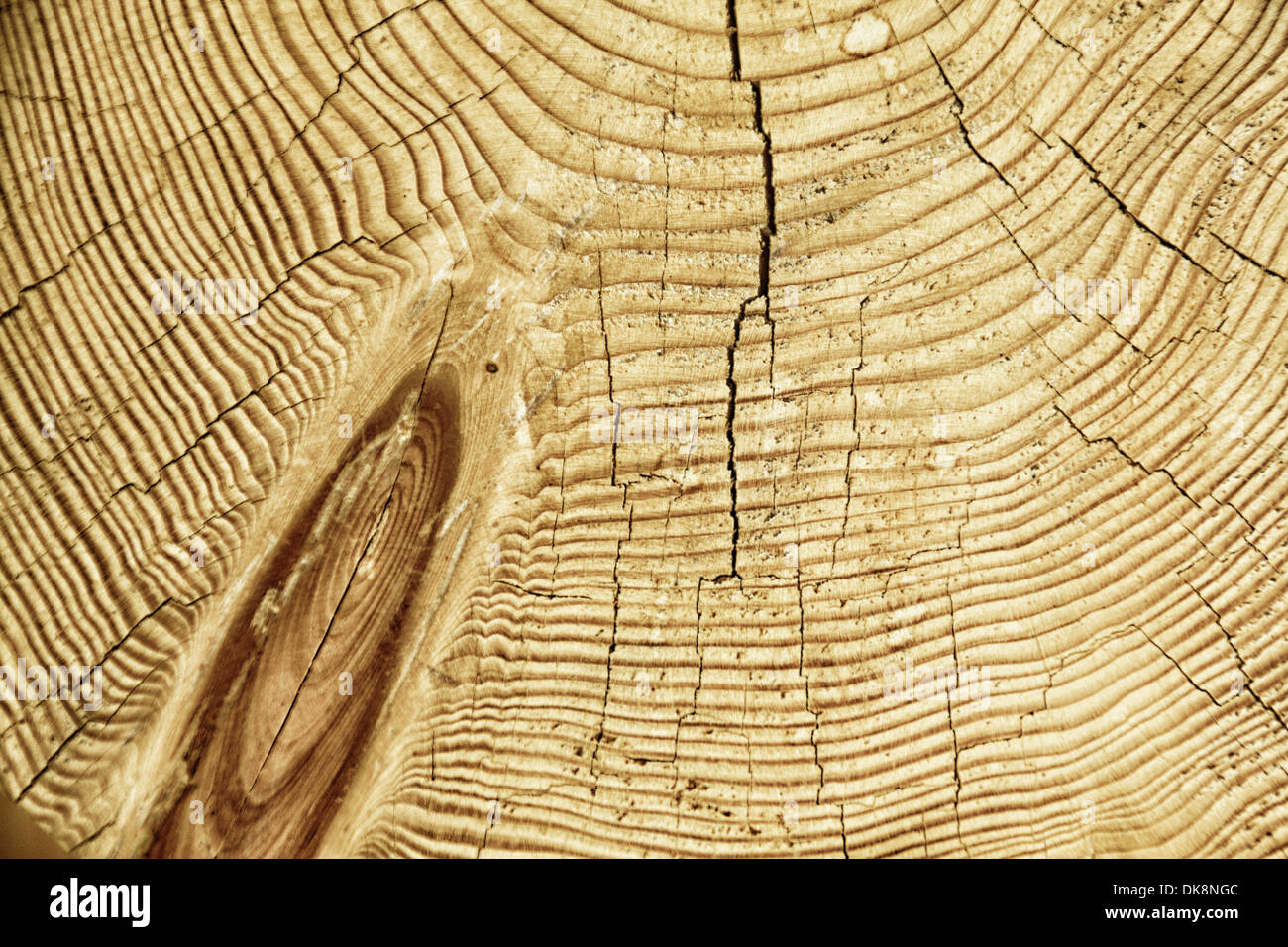 Wood texture wooden background with knot knotted Stock Photo - Alamy