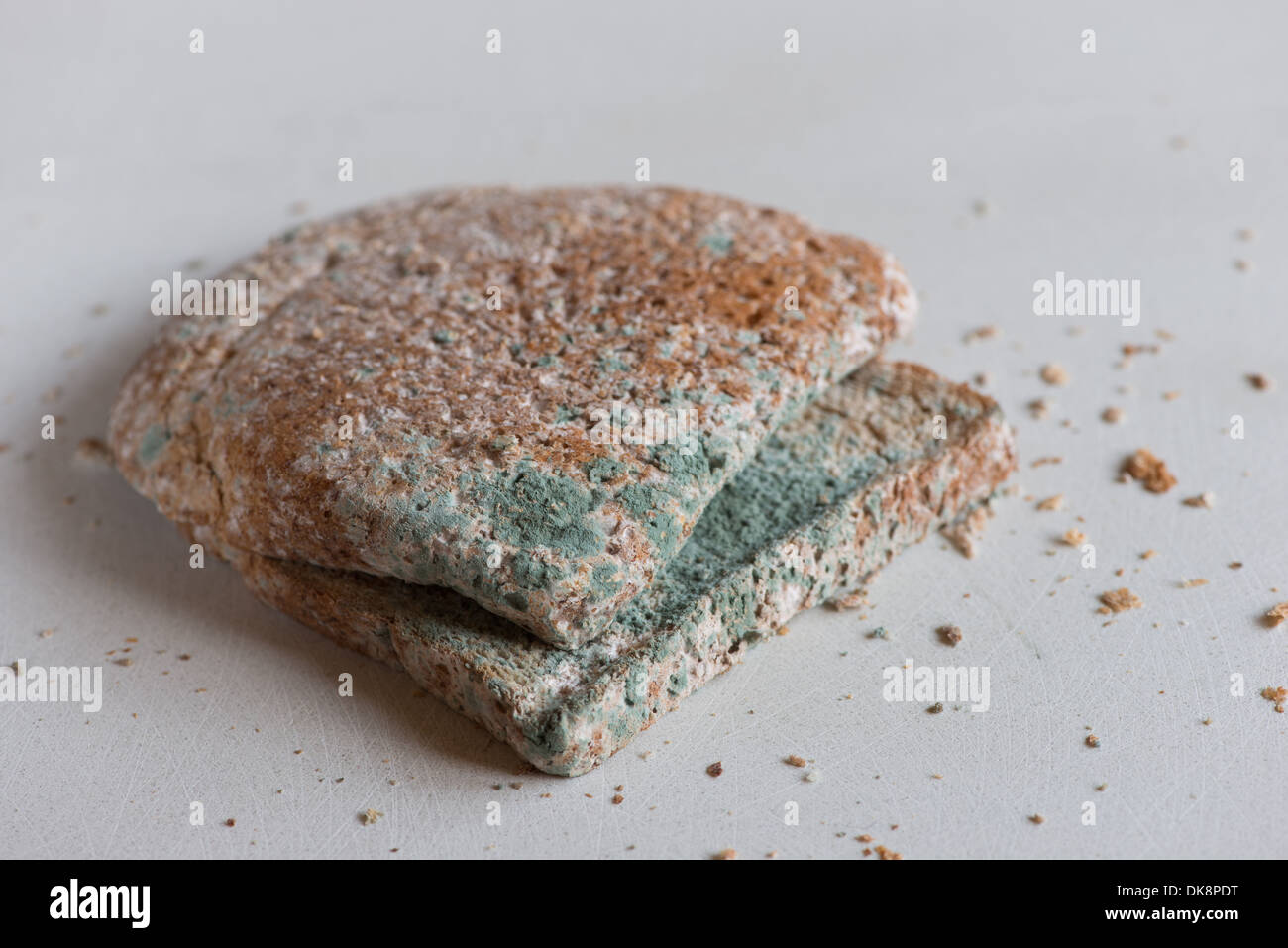 Moldy Sandwich High Resolution Stock Photography and Images - Alamy