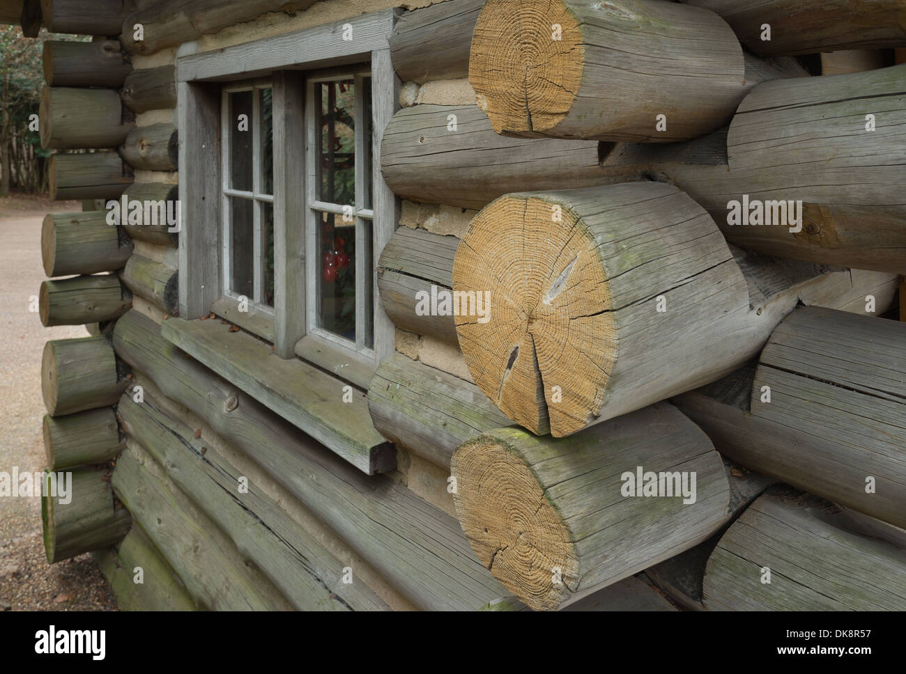 Overlapping weathered pine tree logs trunks at corner used to make a ...