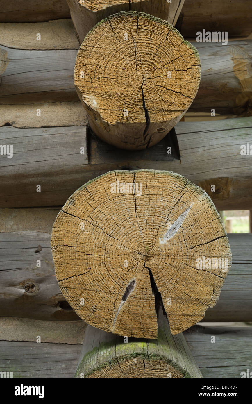 Overlapping weathered pine tree logs trunks at corner used to make a ...