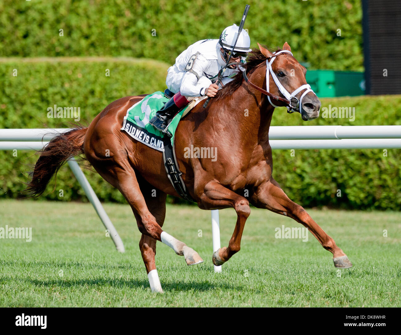 July 31, 2011 - Saratoga Springs, New York, U.S. - Sidney's Candy, John ...