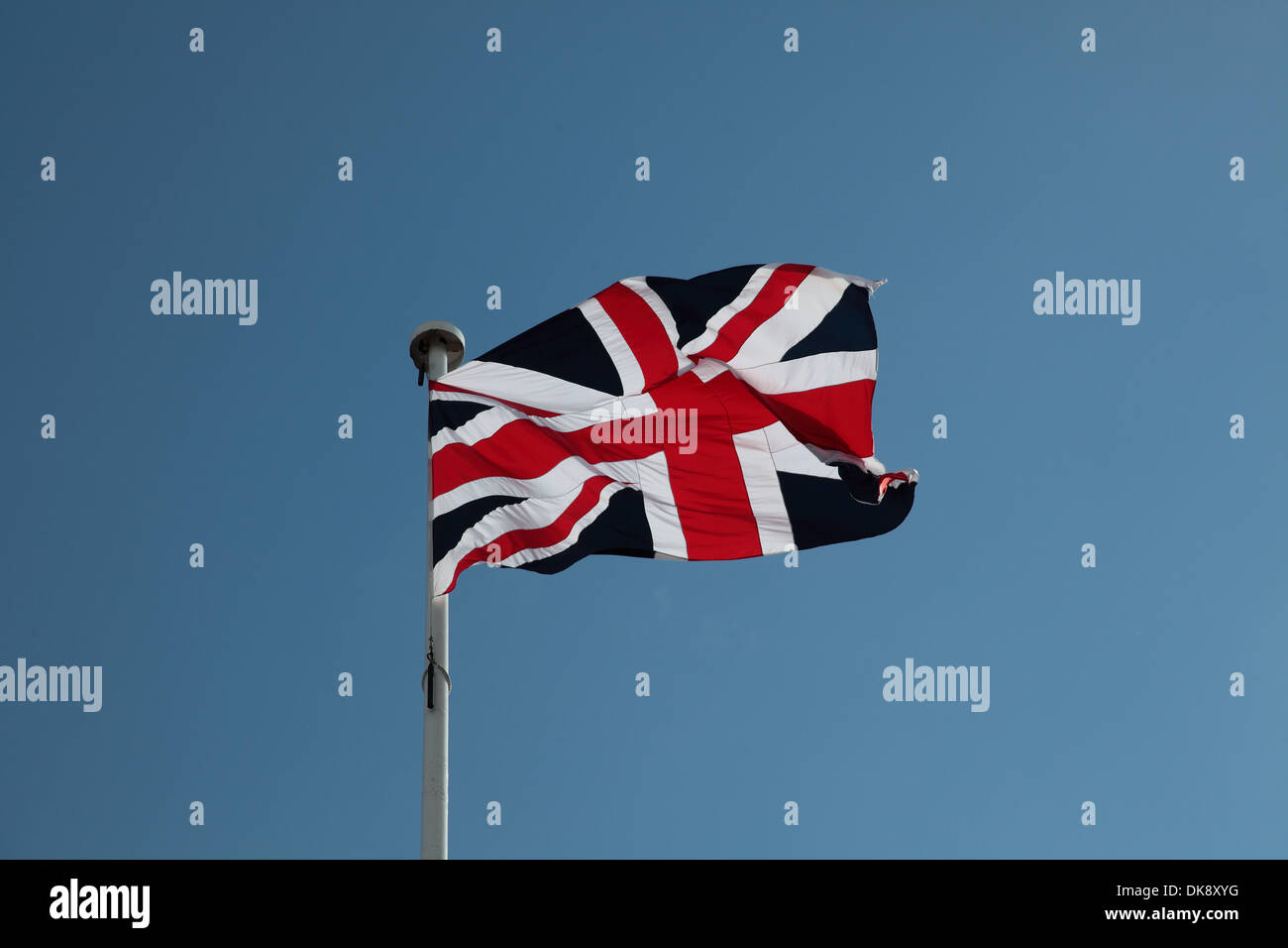 Flutter deep blue hi-res stock photography and images - Alamy