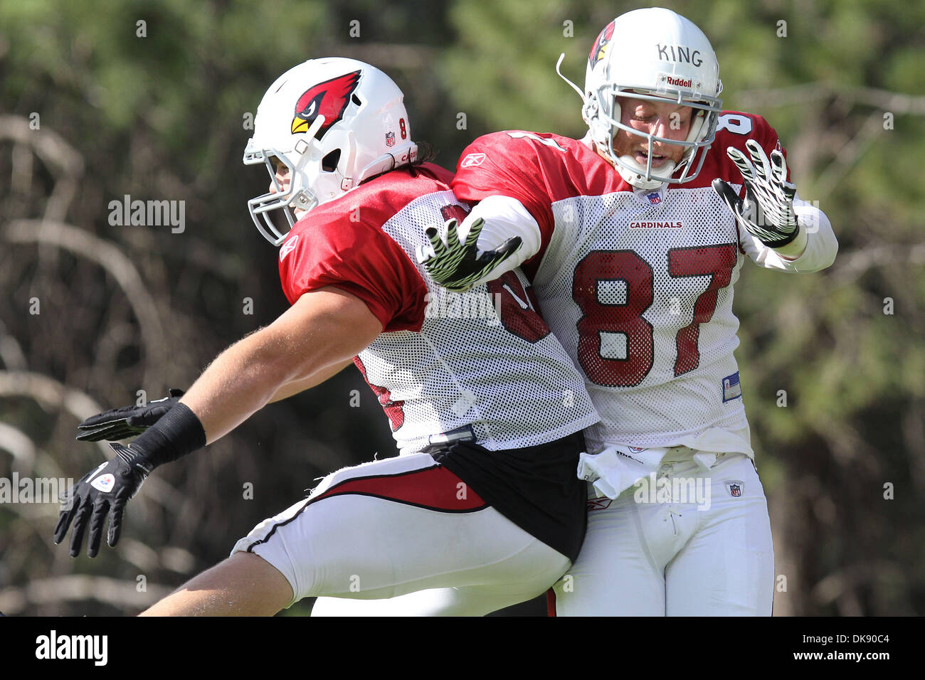 Arizona cardinals celebrate hi-res stock photography and images - Alamy