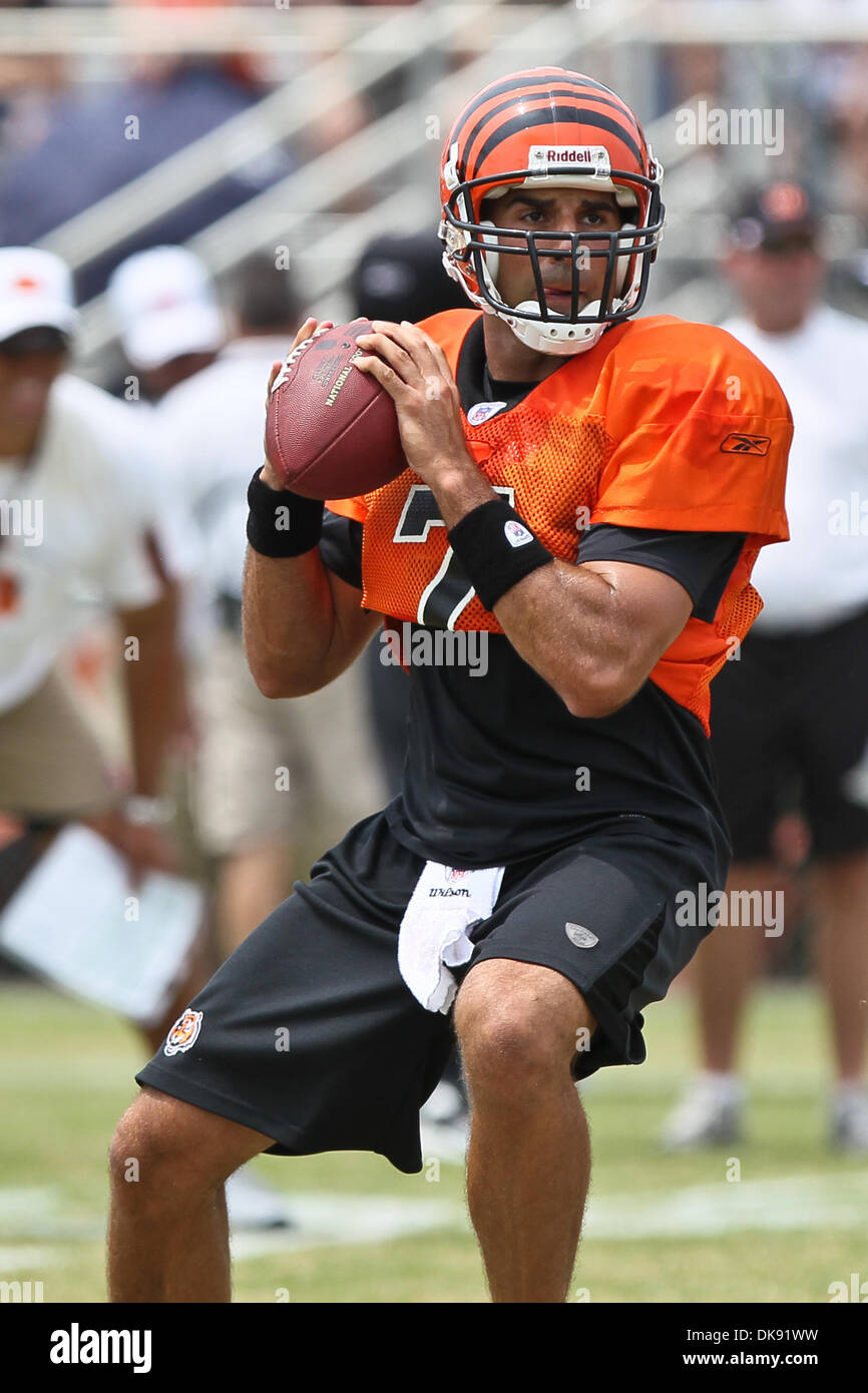 Bruce gradkowski hi-res stock photography and images - Alamy
