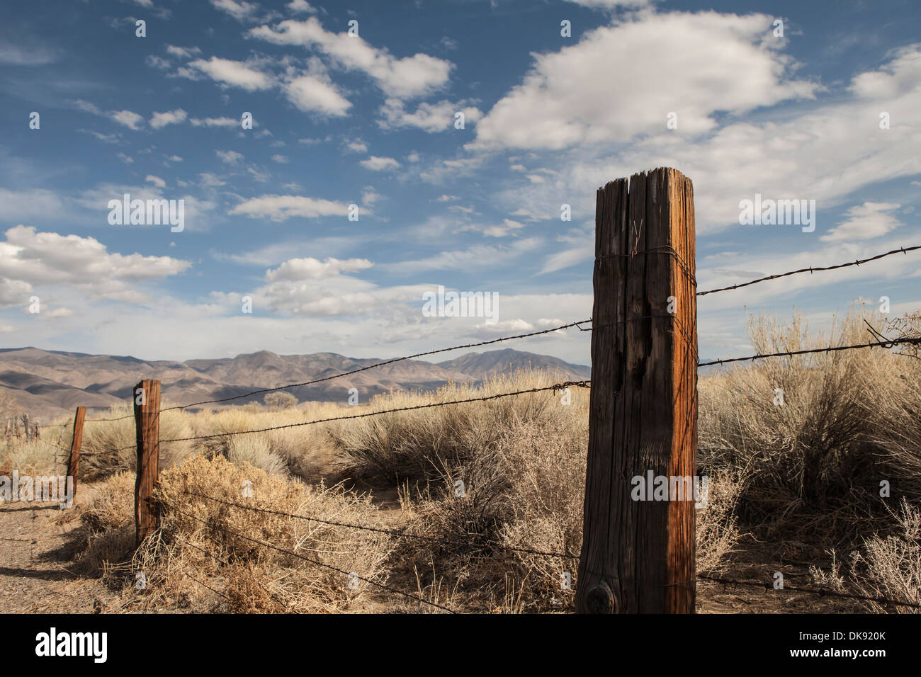 Barbed wire fence in desert hi-res stock photography and images - Alamy