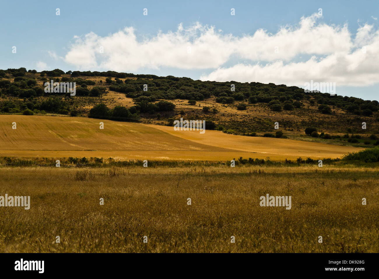 Castilian village hi-res stock photography and images - Alamy