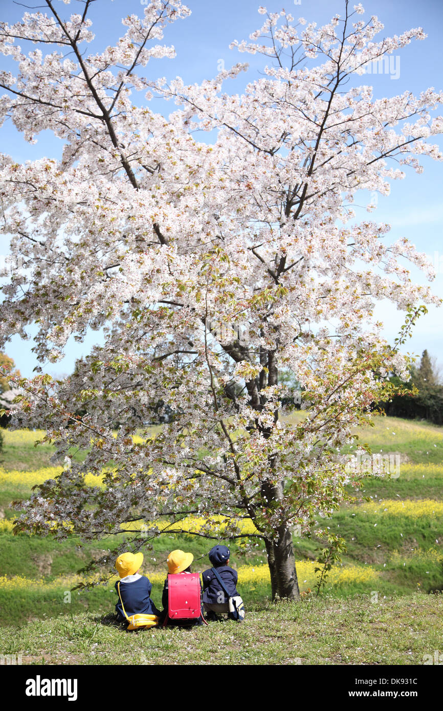 Japanese kids in the countryside Stock Photo - Alamy