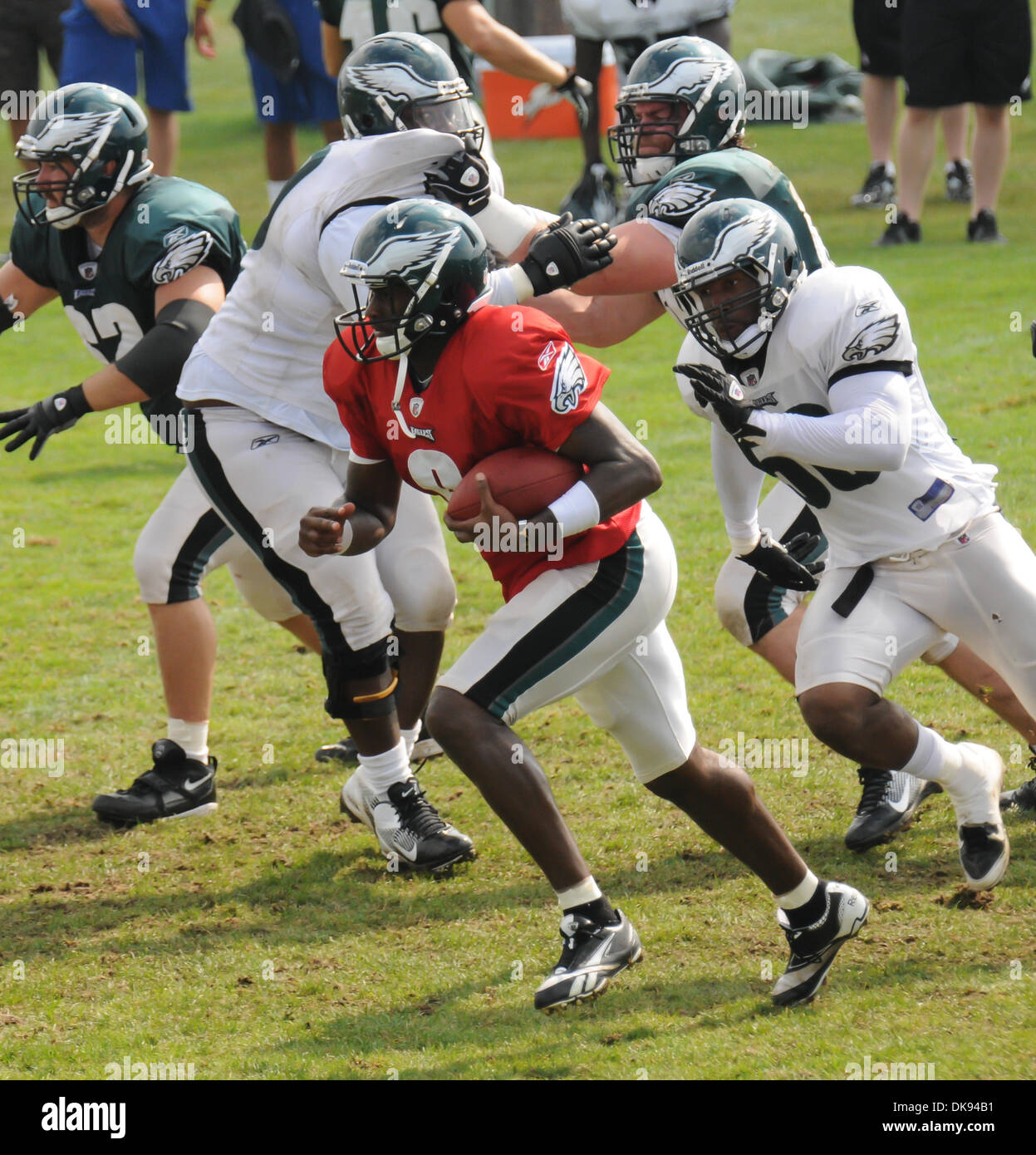 Vince young philadelphia eagles hi-res stock photography and images - Alamy
