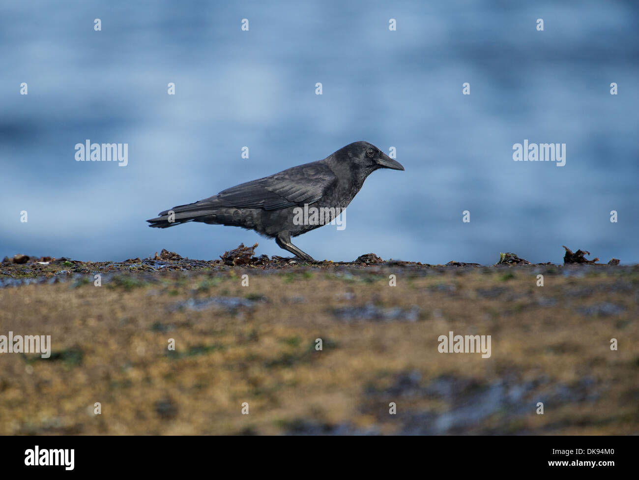 Crow Point Stock Photos & Crow Point Stock Images - Alamy