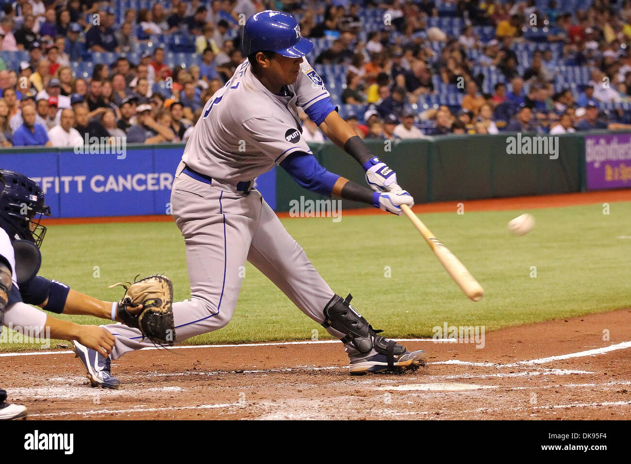 Salvador perez royals hi-res stock photography and images - Alamy