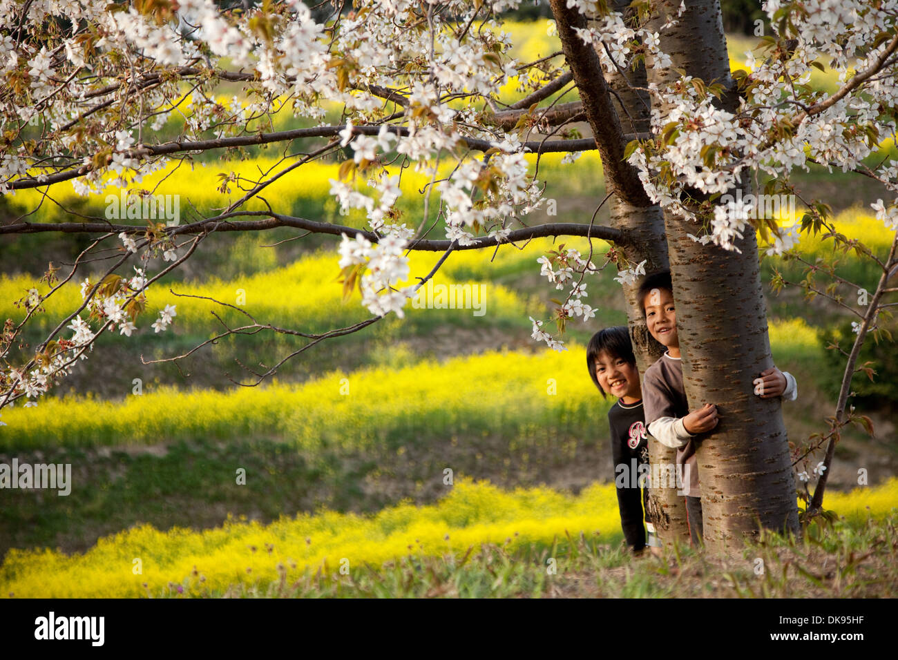 Japanese kids in the countryside Stock Photo - Alamy
