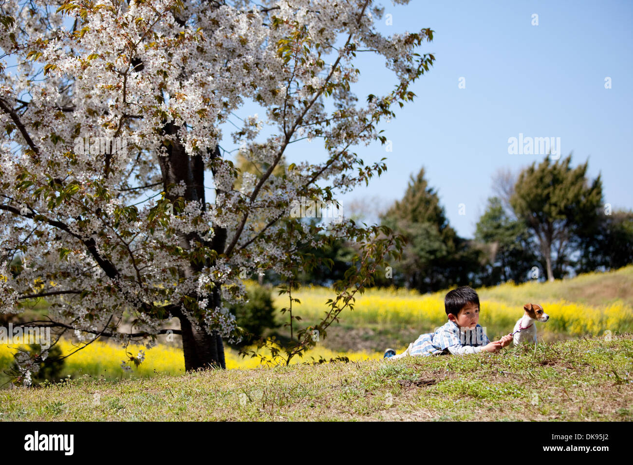 Japanese kid in the countryside Stock Photo - Alamy