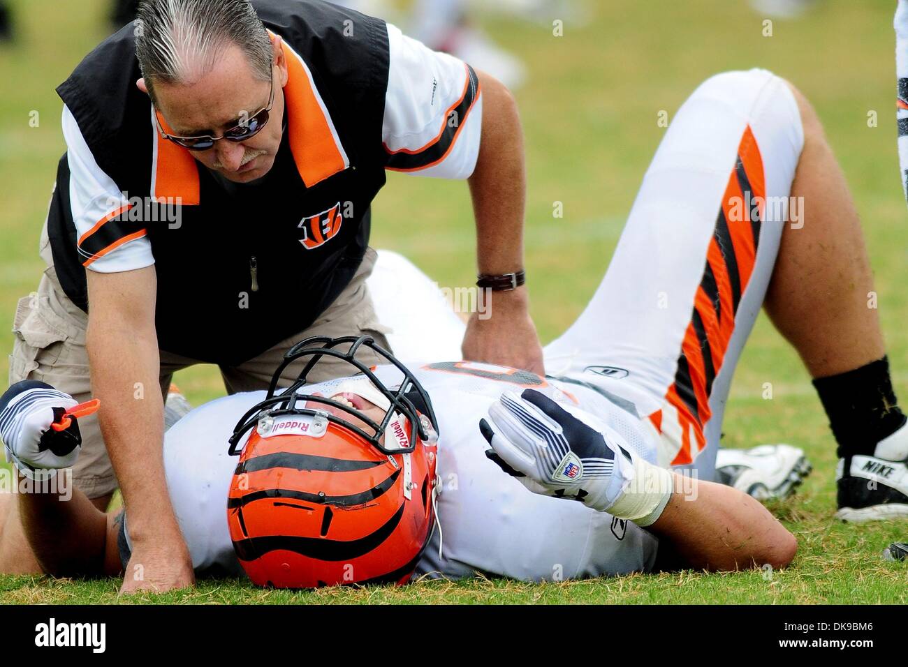 Trainer bengal hi-res stock photography and images - Alamy