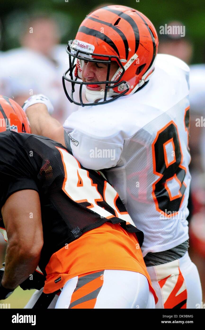 Chris crocker hi-res stock photography and images - Alamy