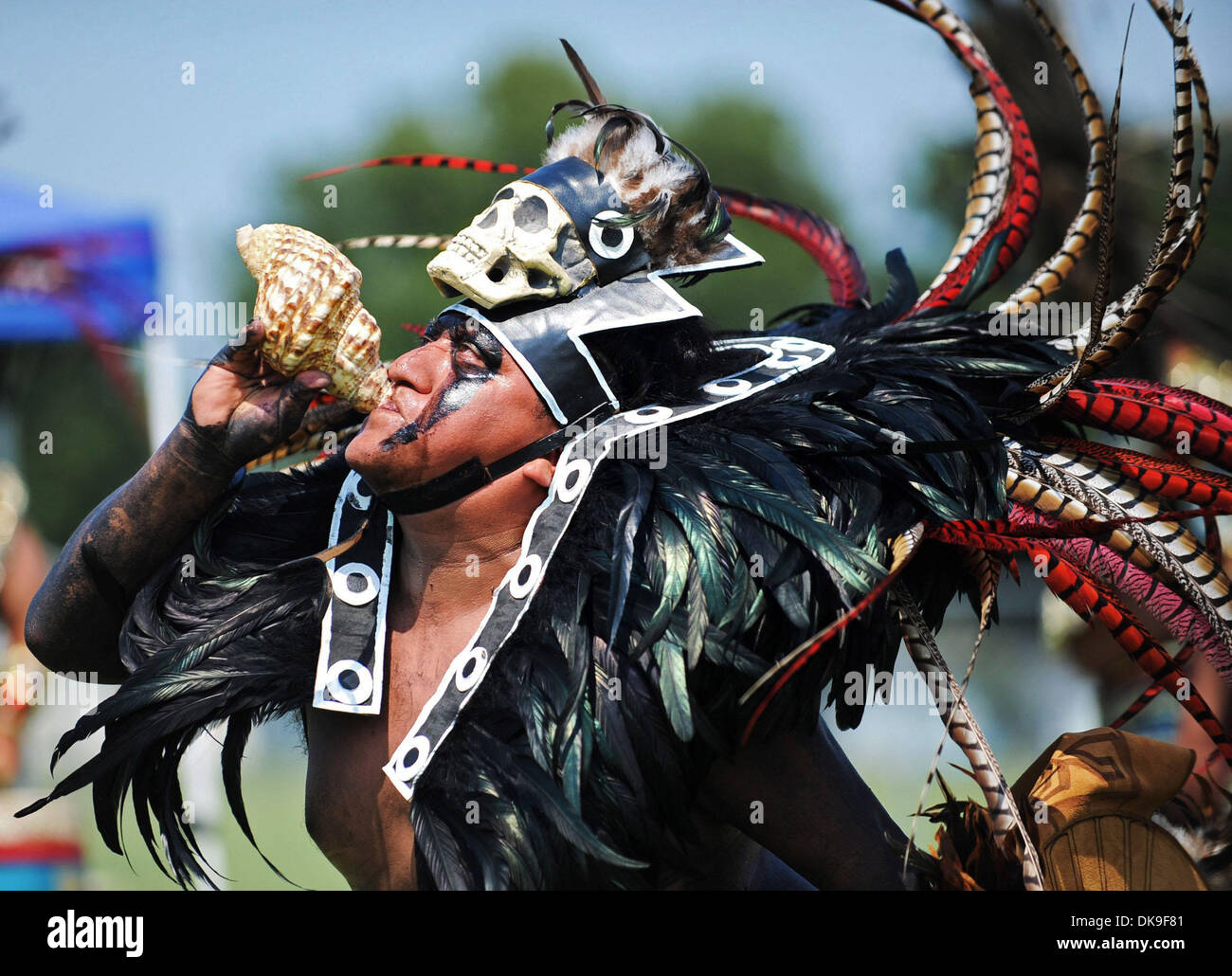 Turtle island native american hi-res stock photography and images - Alamy