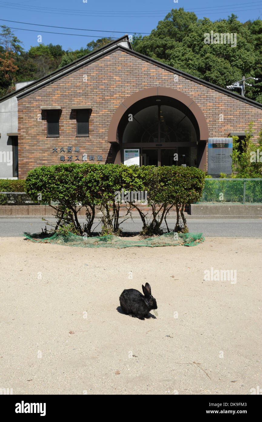 Okunoshima: October 2nd, 2013, 2013, Hiroshima Prefecture, Japan ...