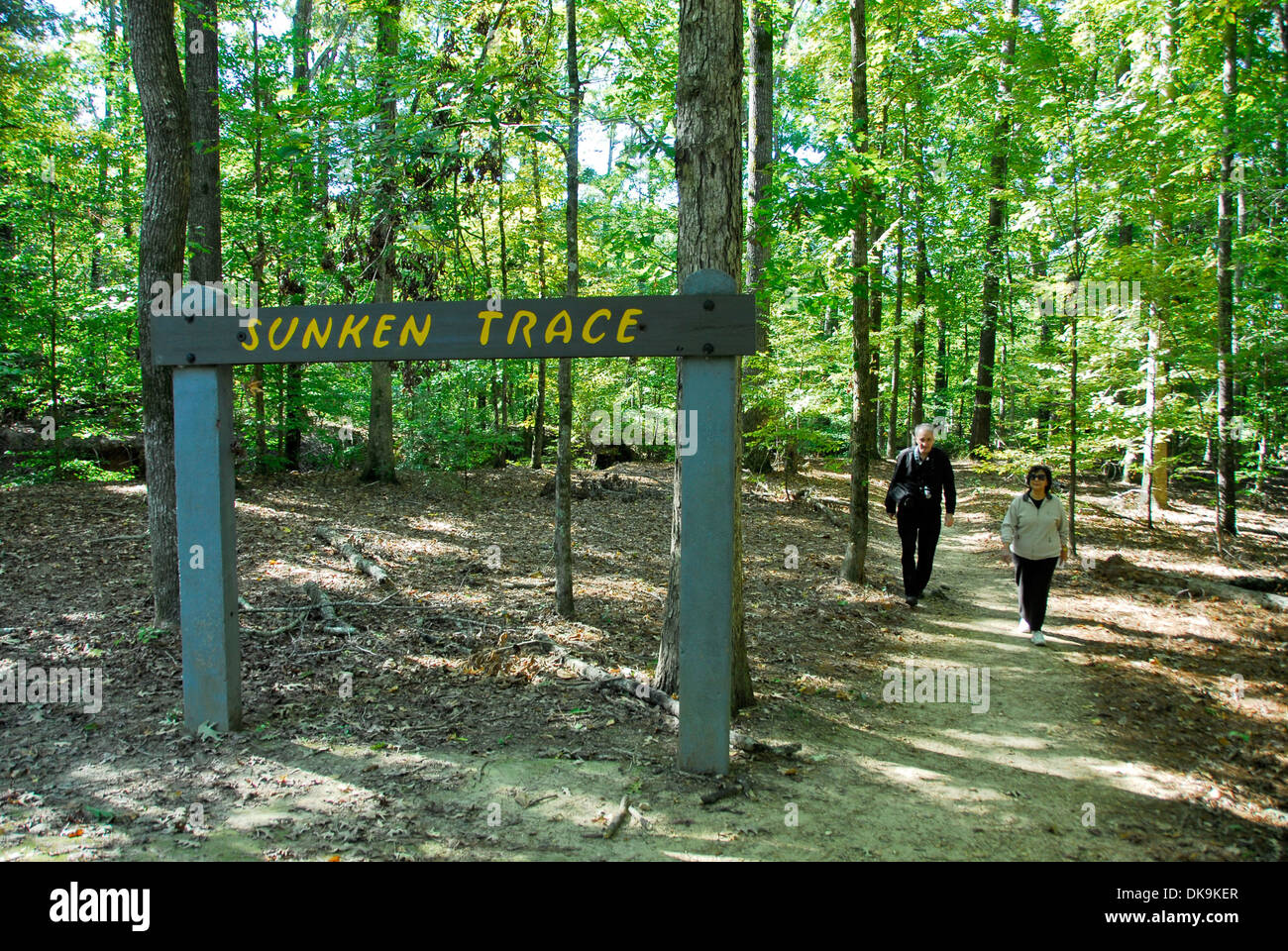 The historic Sunken Trace on the Natchez Trace Parkway, Mississippi Stock Photo - Alamy