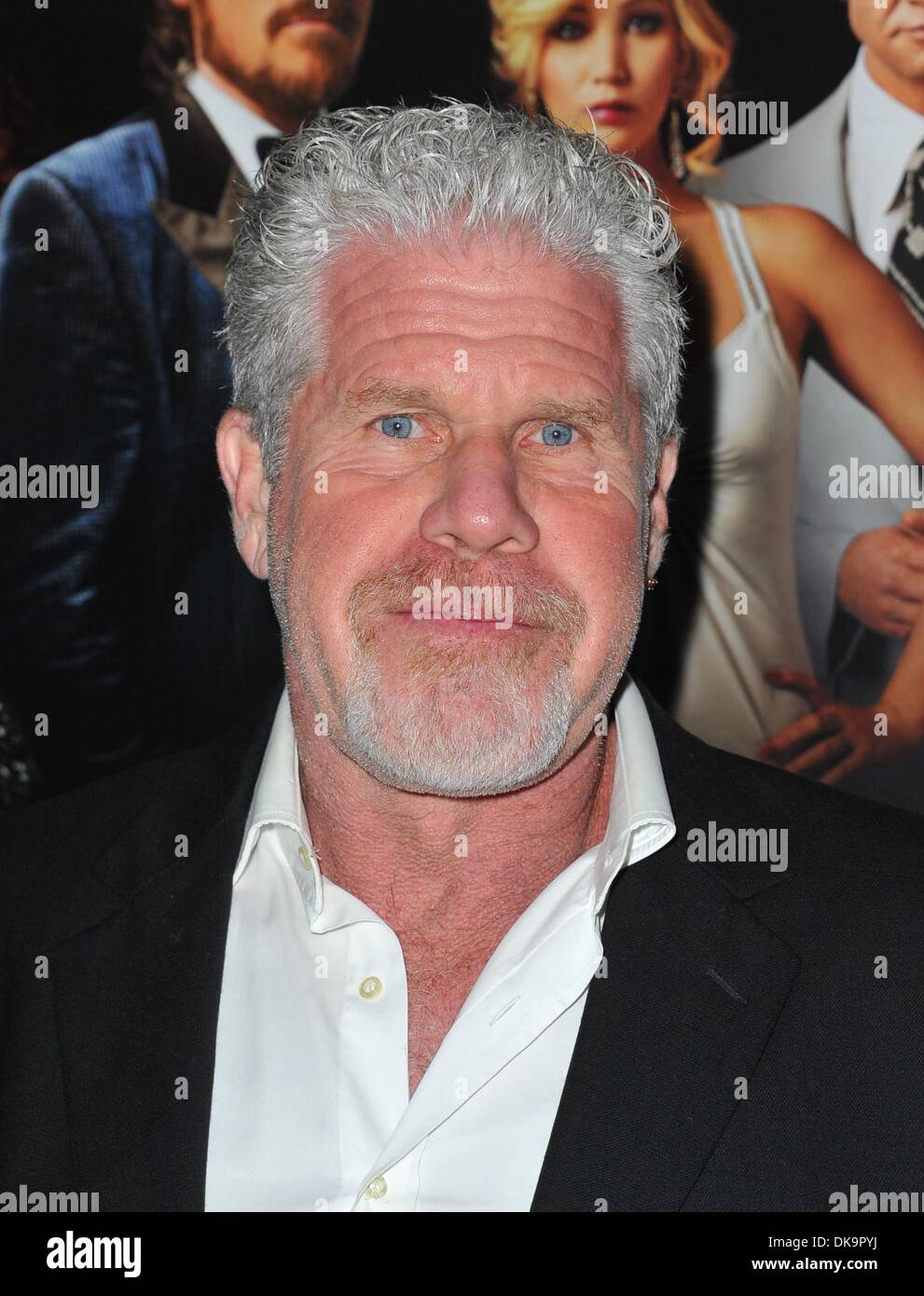 Los Angeles, CA, USA. 3rd Dec, 2013. Ron Pearlman at arrivals for ...