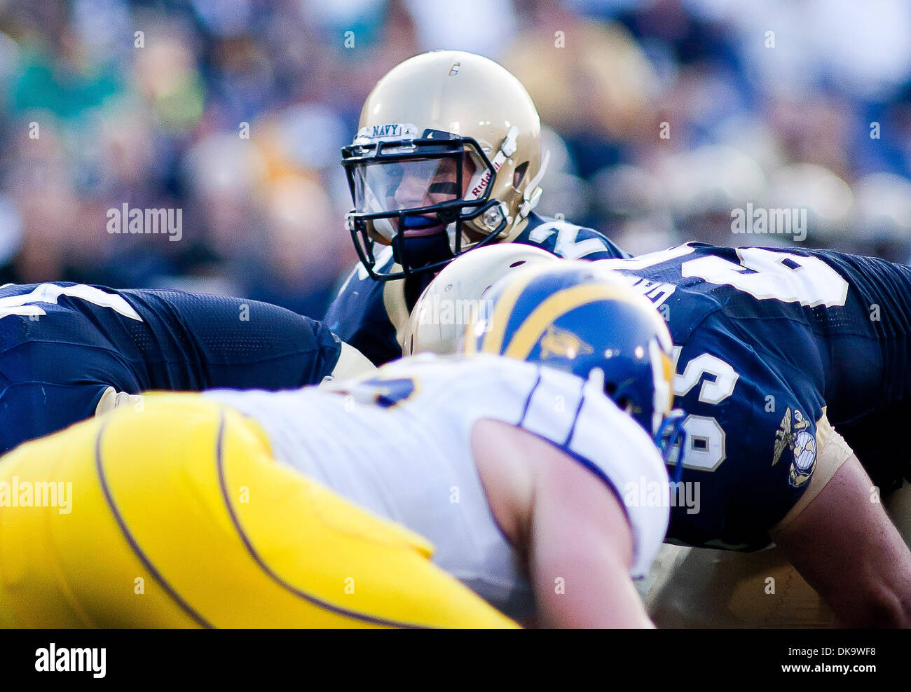 University of maryland mascot hi-res stock photography and images - Alamy