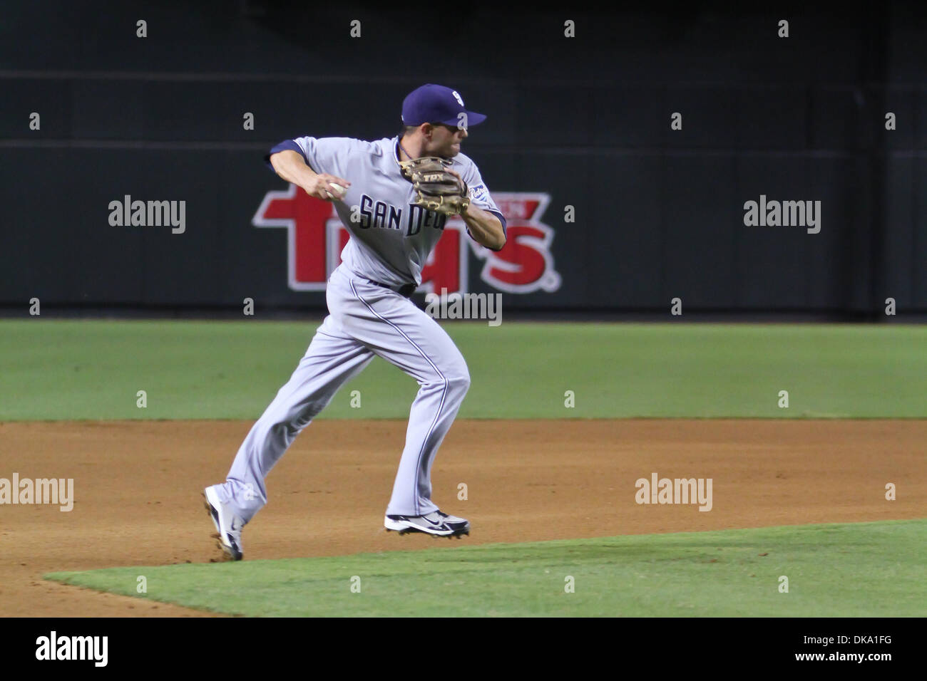 Parrino hi-res stock photography and images - Alamy