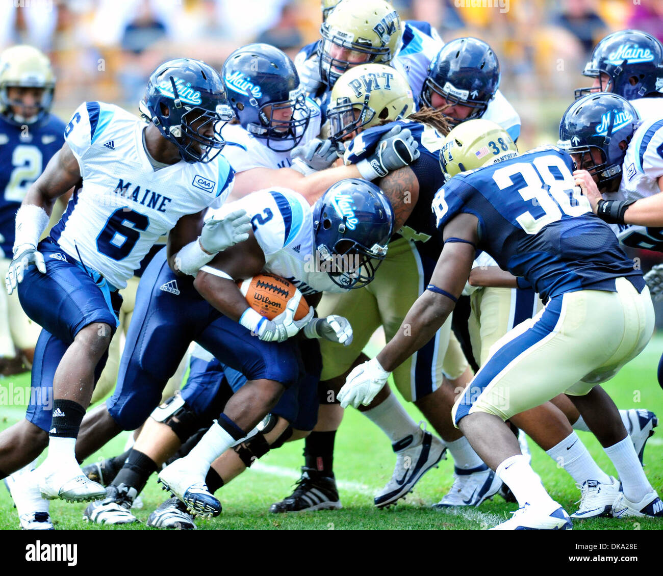 Pittsburgh Panther High Resolution Stock Photography and Images - Alamy