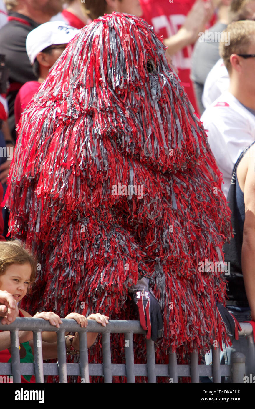 Buckeyes fan hi-res stock photography and images - Alamy