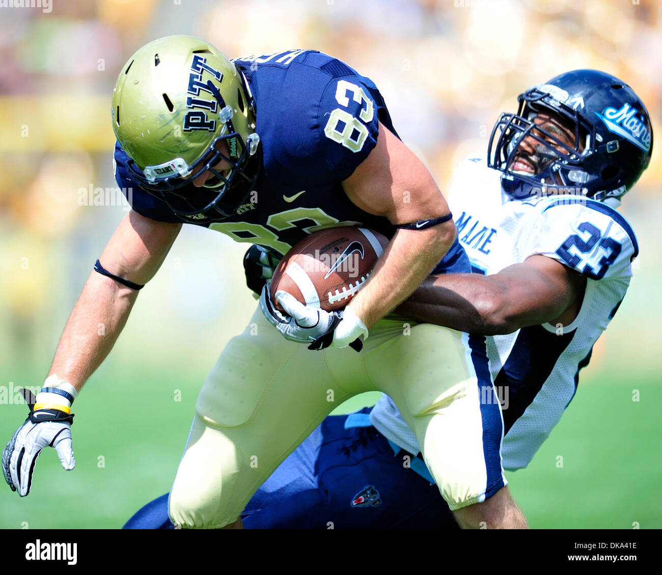 Panther key hi-res stock photography and images - Alamy