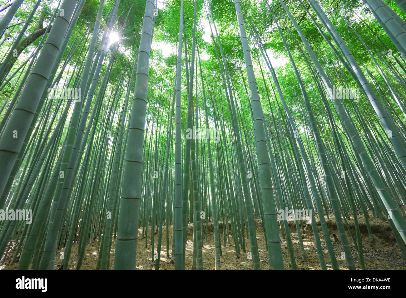 Kinki kansai region japan hi-res stock photography and images - Alamy