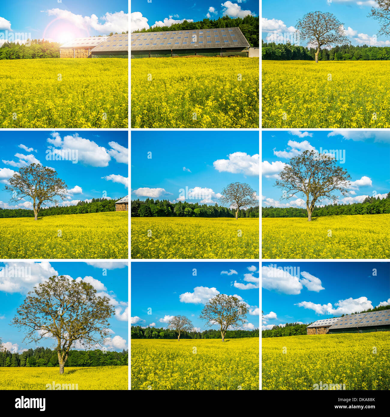 Collage beautiful nature landscapes hi-res stock photography and images ...