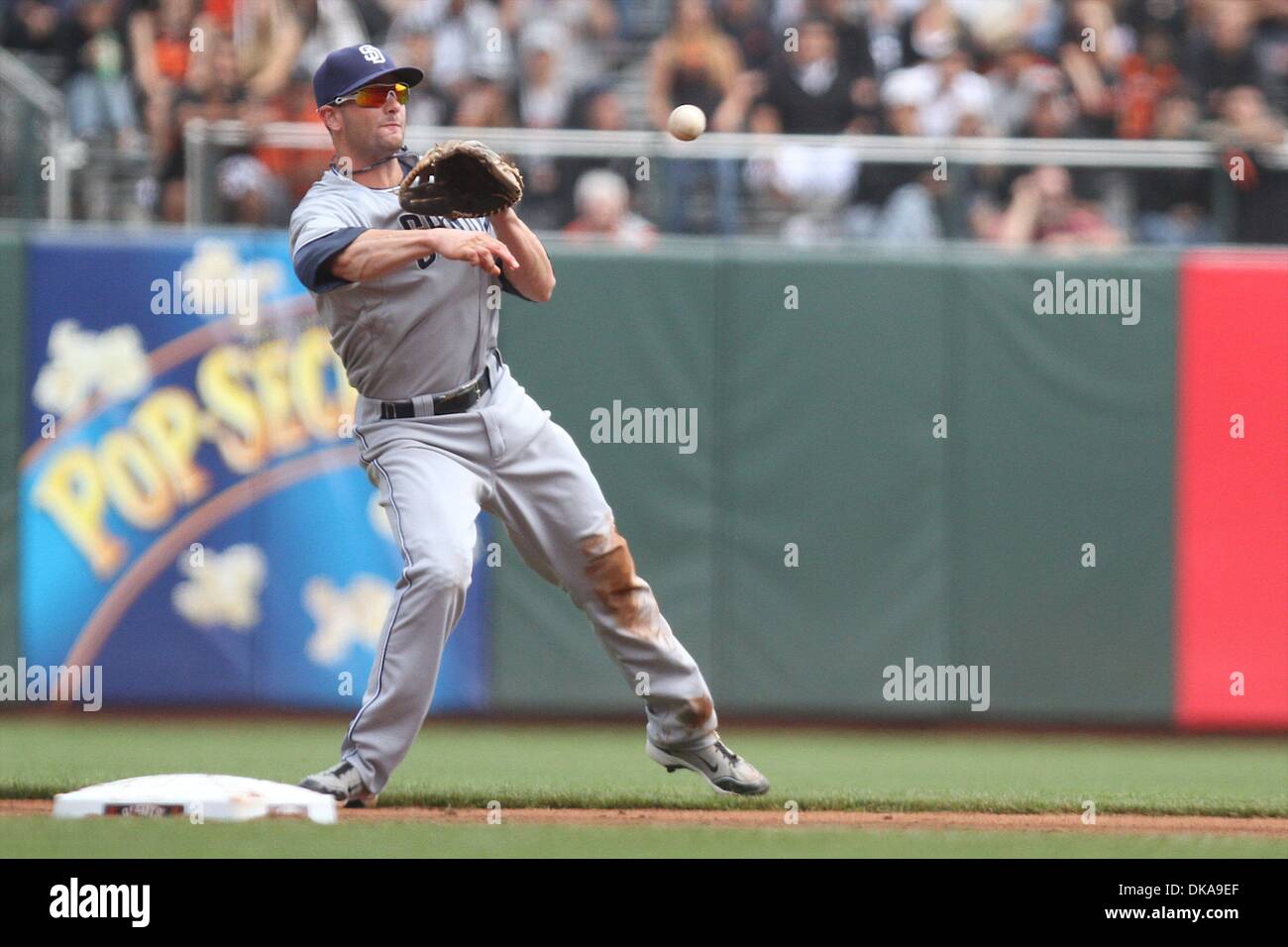 Parrino hi-res stock photography and images - Alamy