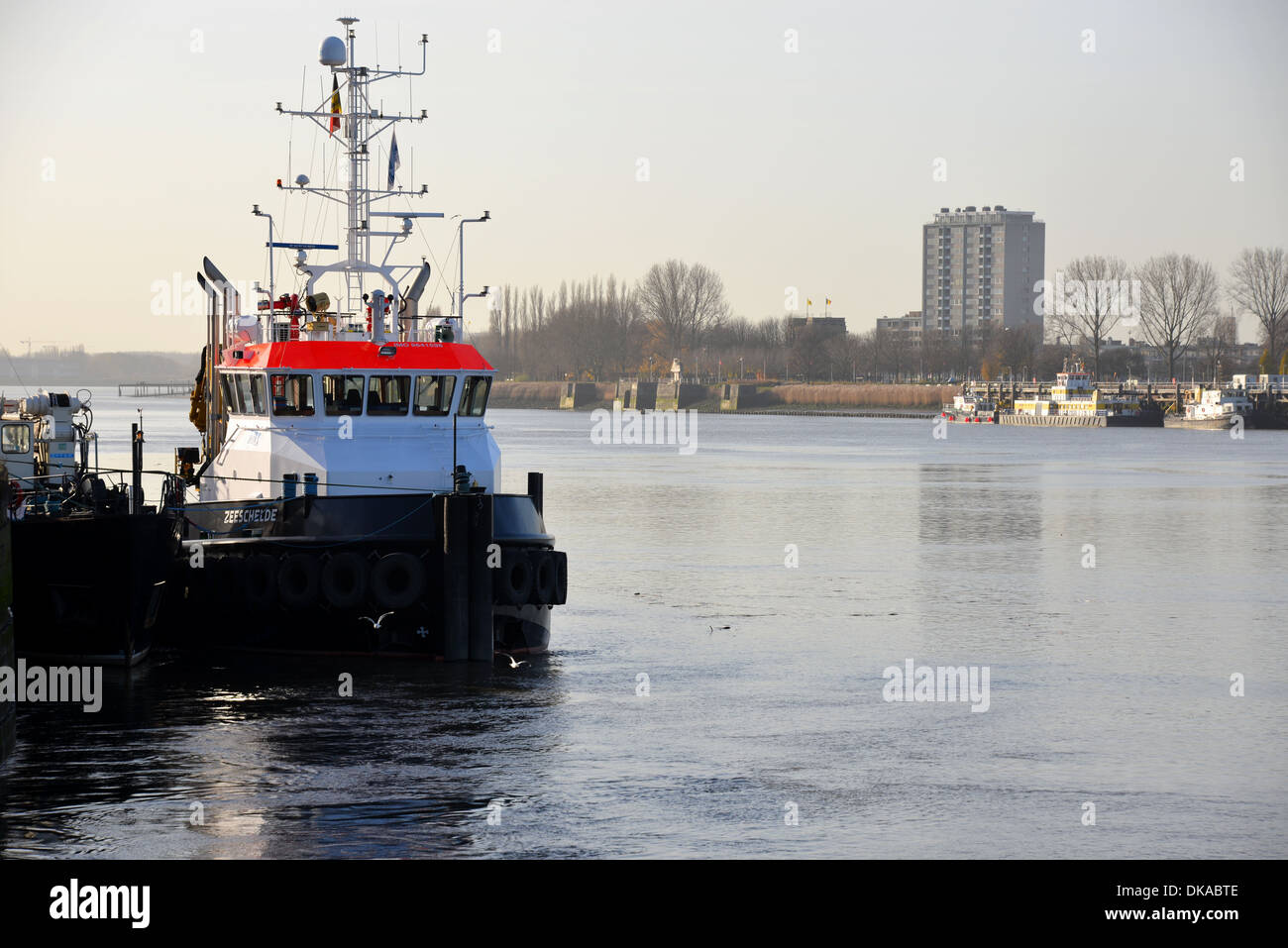 River schelde hi-res stock photography and images - Alamy