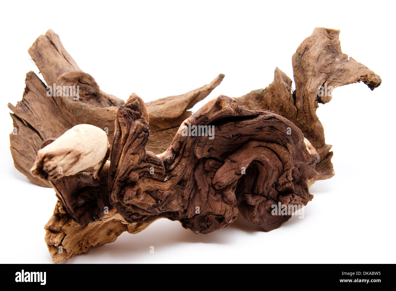 Root wooden hi-res stock photography and images - Alamy