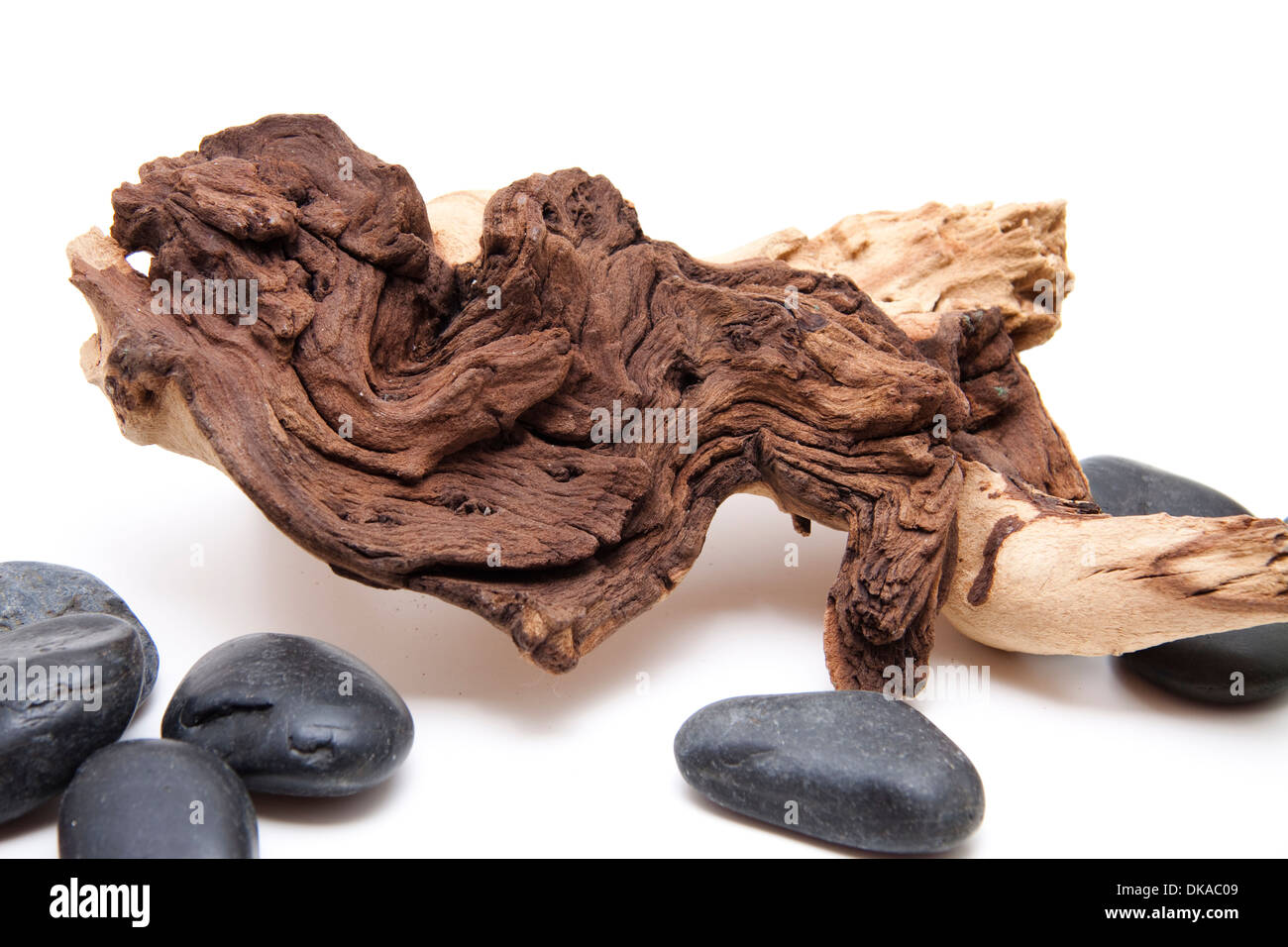 Wooden root with stones Stock Photo - Alamy