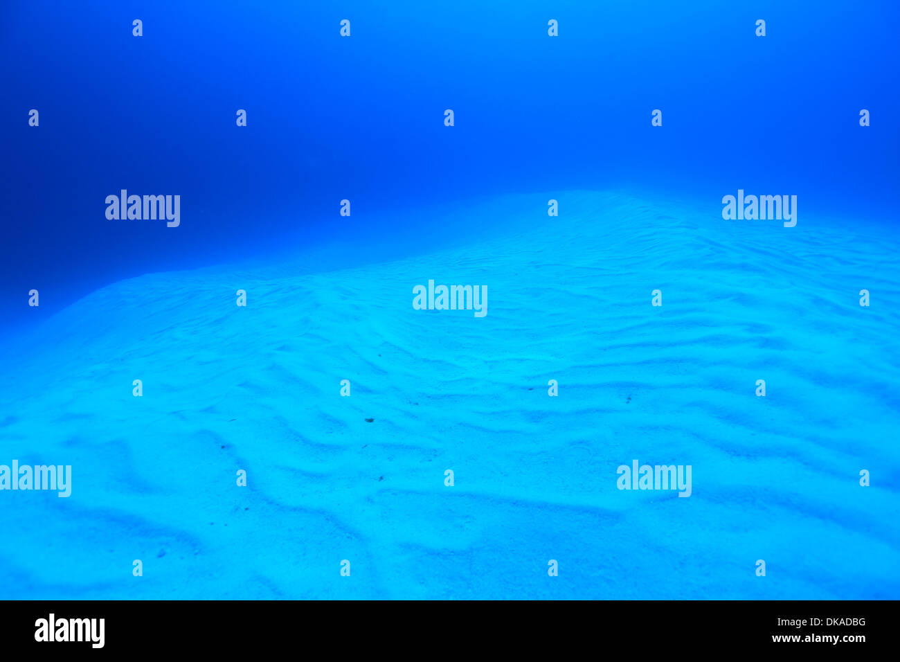 Underwater sand ripple hi-res stock photography and images - Alamy