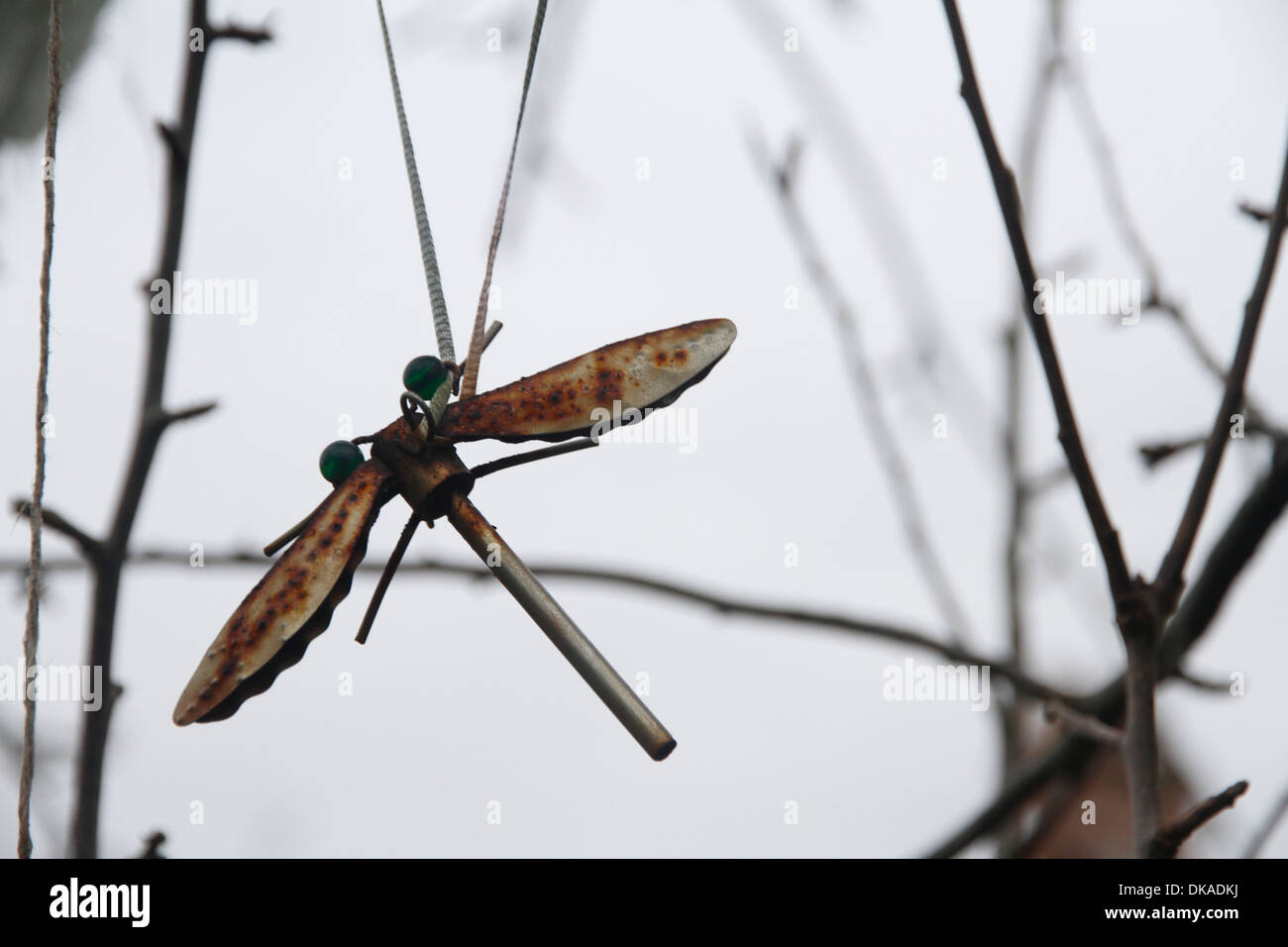 Dragonfly on pipe hi-res stock photography and images - Alamy
