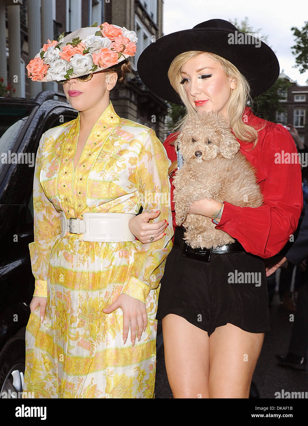 Tara savelo hi-res stock photography and images - Alamy