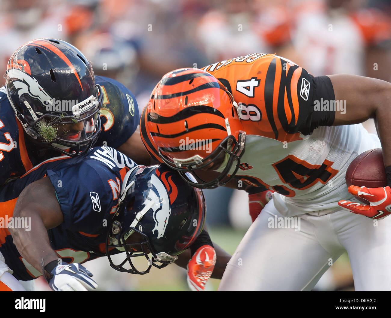 Sep. 17, 2011 - Denver, Colorado, U.S. - Bengals wide receiver ANDRE ...
