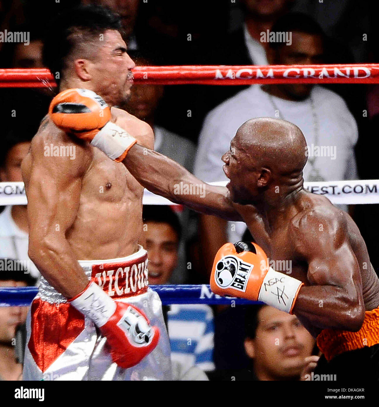 Tkos hi-res stock photography and images - Alamy