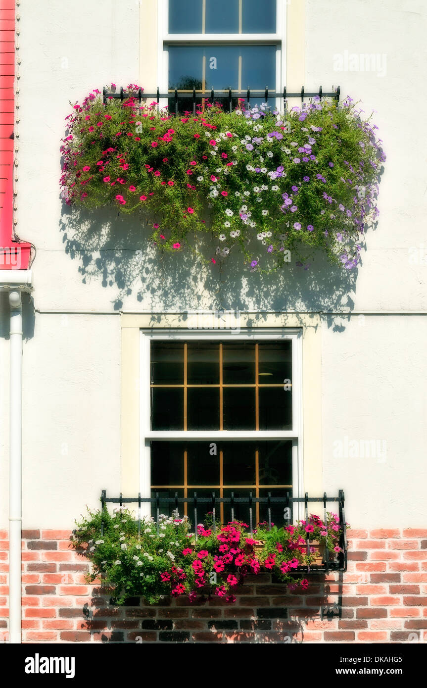 Flowers and windows Stock Photo - Alamy